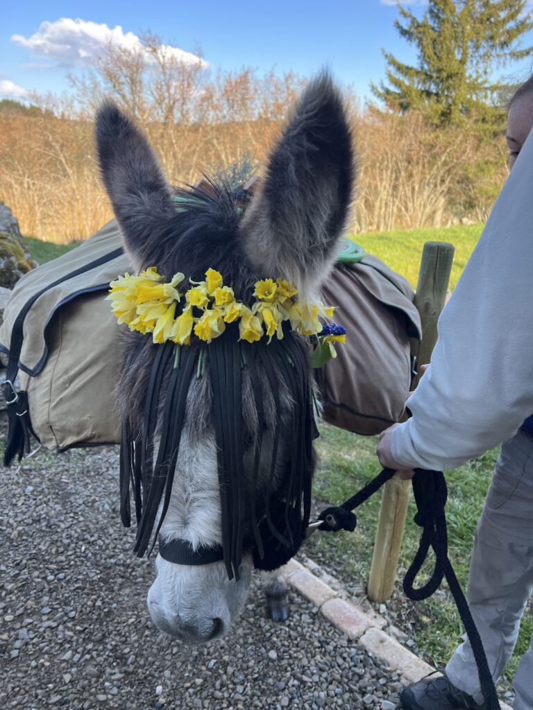 À propos du gîte - Lo Barri de Meyssouzac
